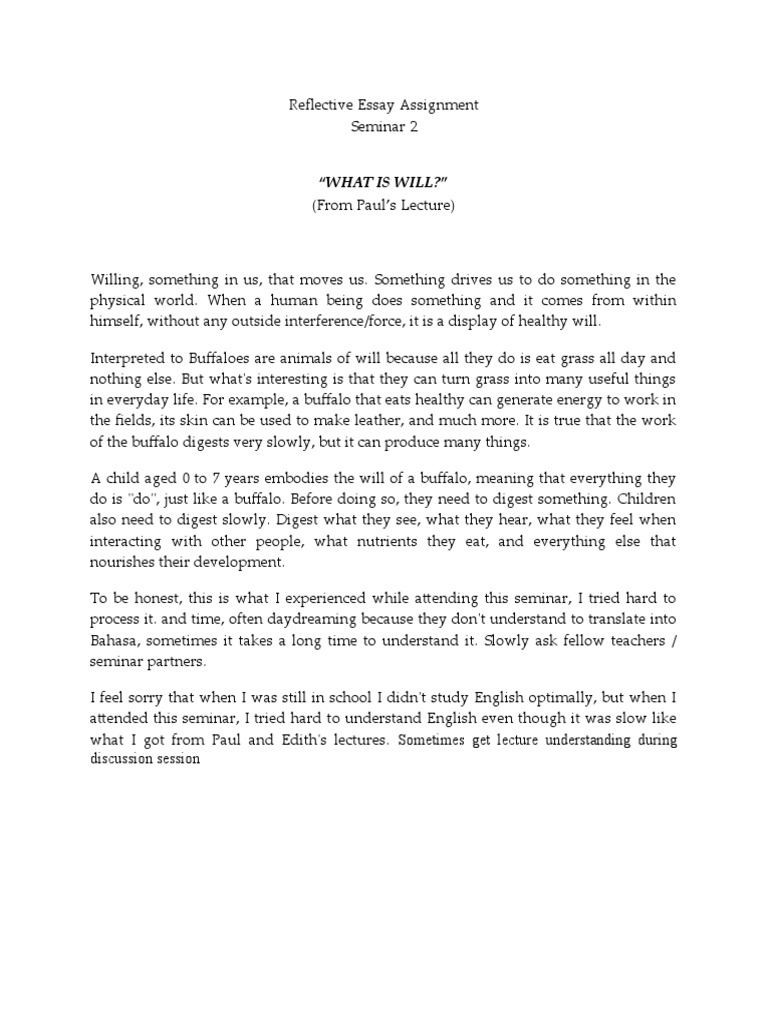 Reflective Essay Assignment Seminar 2 | PDF