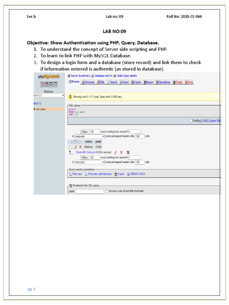 Lab No 9 Se Pdf Login Databases 