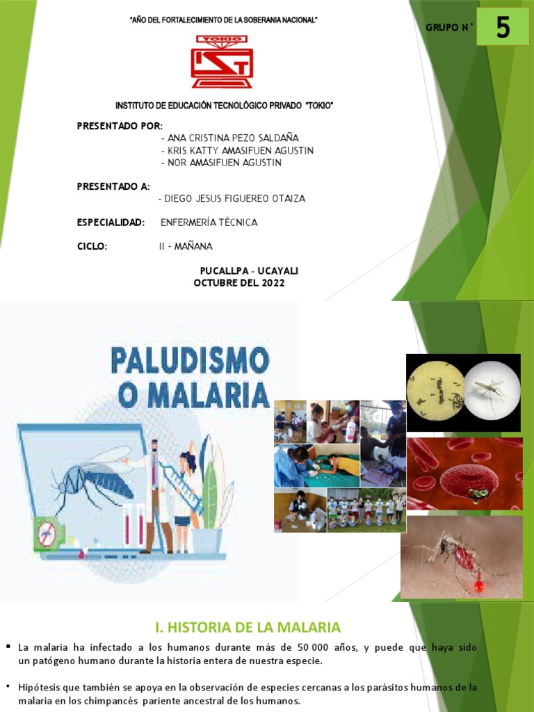 Prevención y Tratamiento de la Malaria | PDF | Malaria | Plasmodium