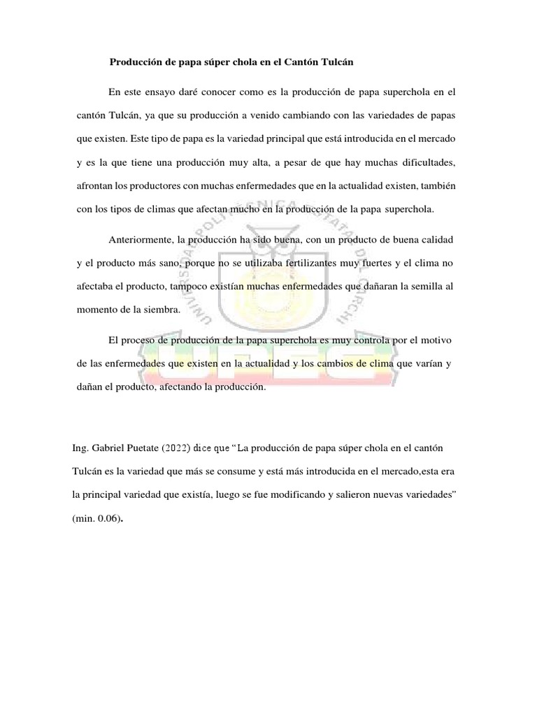 Producción de Papa Súper Chola en El Cantón Tulcán | PDF | Patata | Siembra