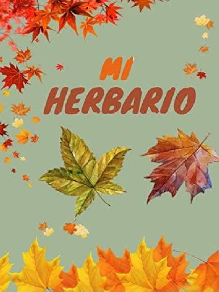 Herbario 2 Pdf