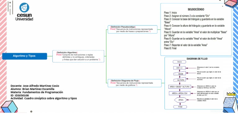 S2 - Cuadro Sinóptico Sobre Algoritmo y Tipos - Algoritmos | PDF | Algoritmos | Informática