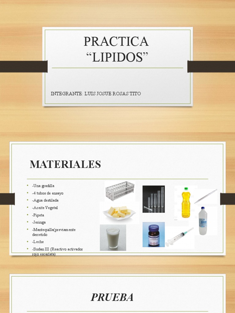 Practica Lipidos Pdf