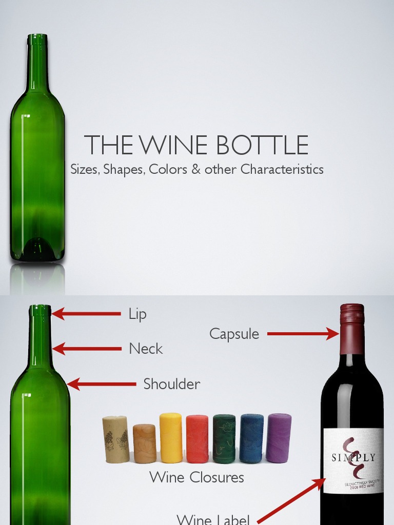 Wine Bottle Sizes and Characteristics | PDF | Champagne | Wine
