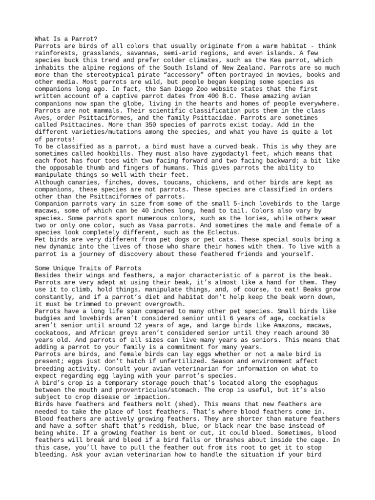 Parrots | PDF | Parrot | Birds