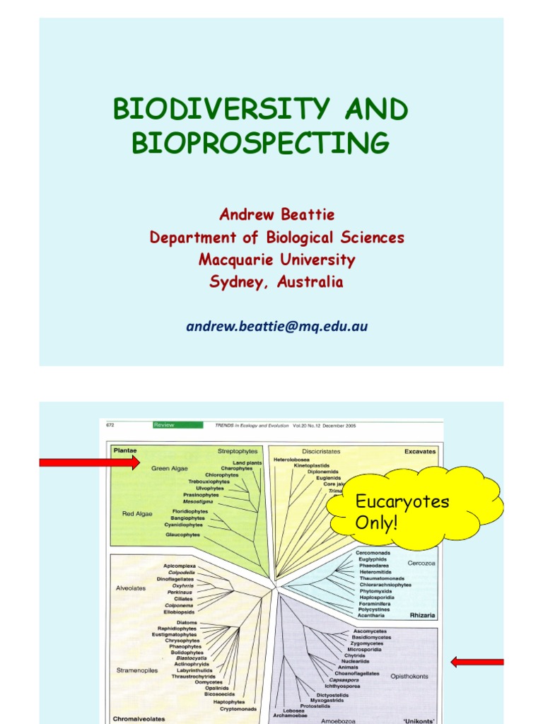 Biodiversity and Bioprospecting | PDF | Biodiversity | Ecology