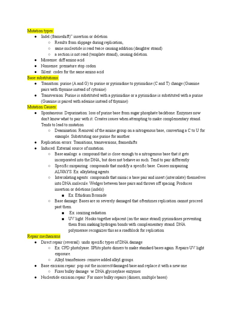 USF Genetics Unit 4 Exam Review | PDF | Dna Repair | Operon