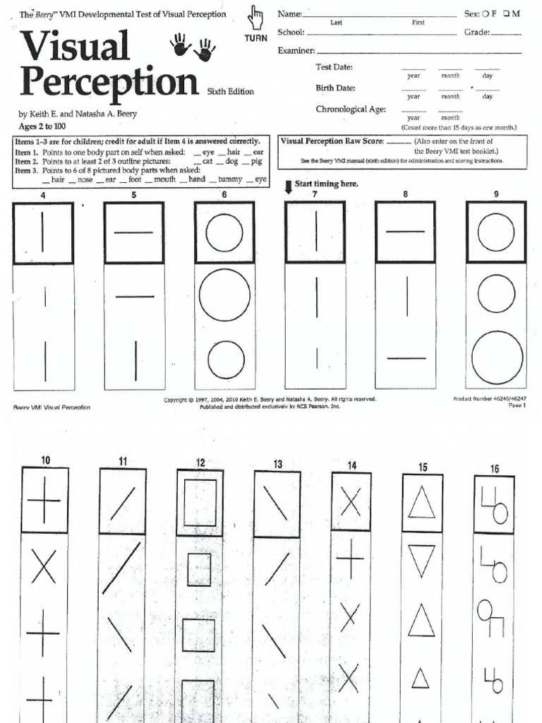 Percepción Visual | PDF