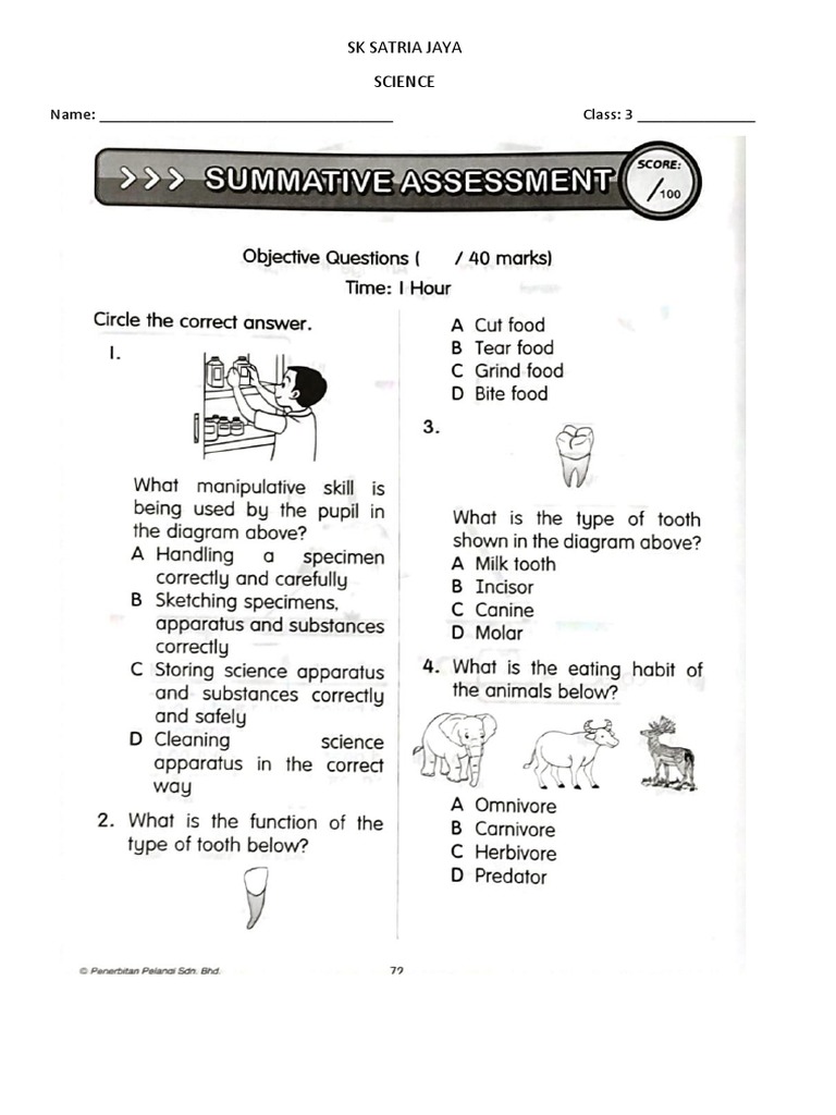 Science Yr 3 | PDF