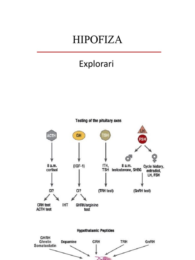 LP 1a-Explorarea HH | PDF