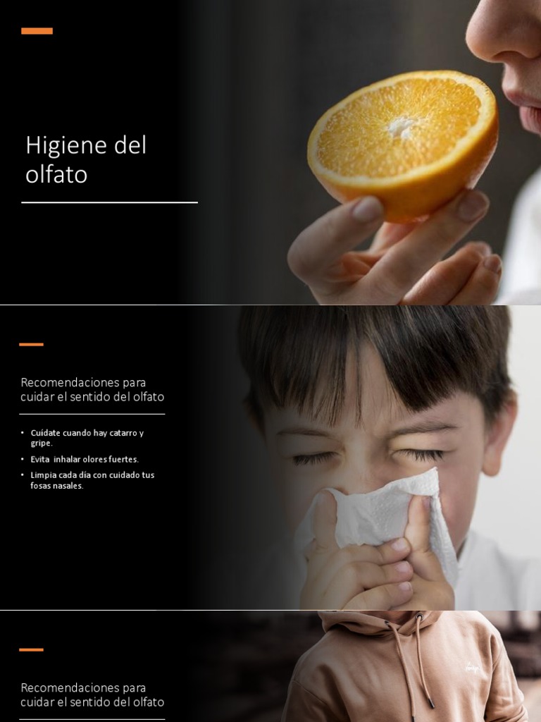 Higiene Del Olfato | PDF | Cocina, comidas y vino | Hogar, jardinería y ...
