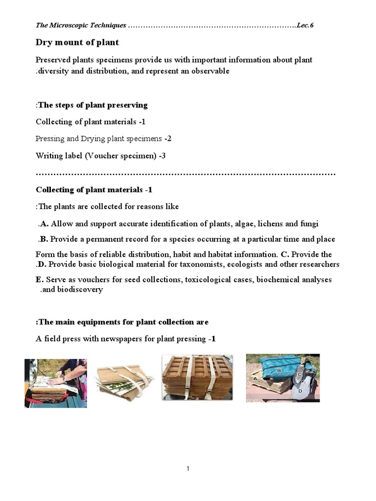 6 The Microscopic Techniques | PDF | Plants | Taxa