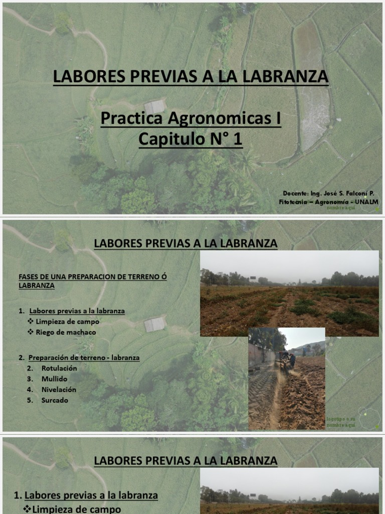 Labores Previas A La Labranza | PDF