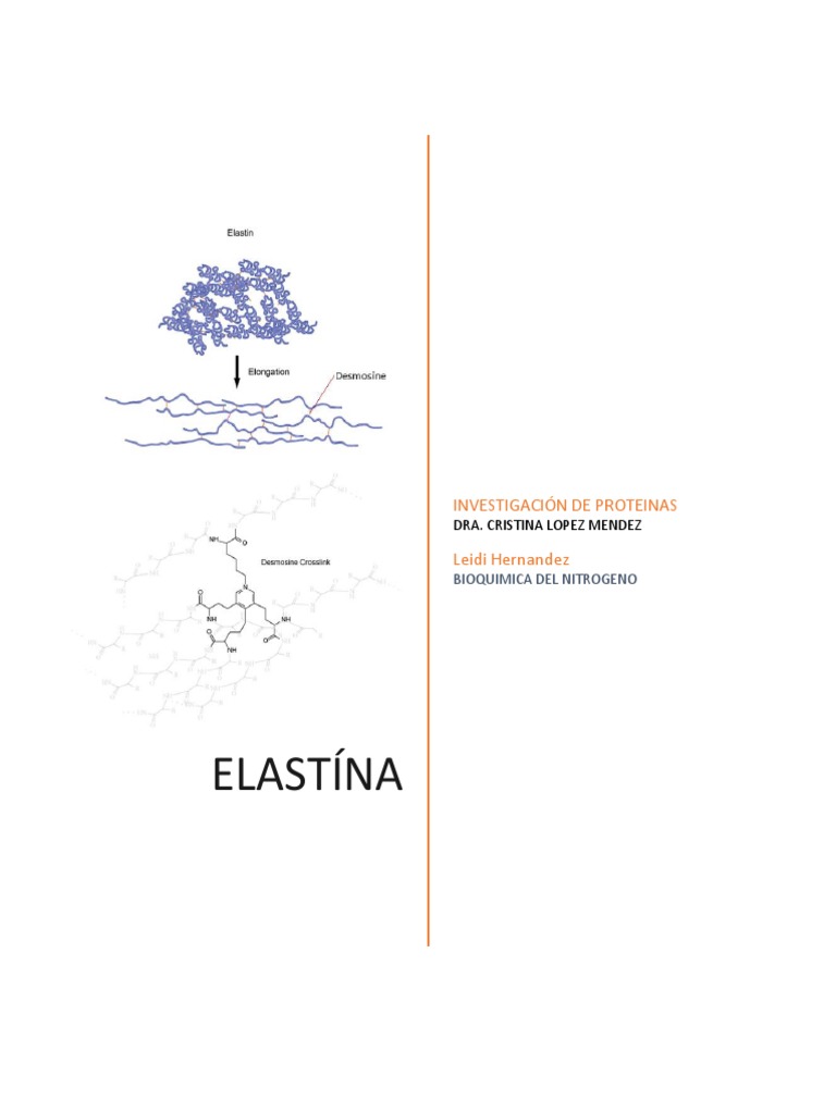 ELASTÍNA | PDF