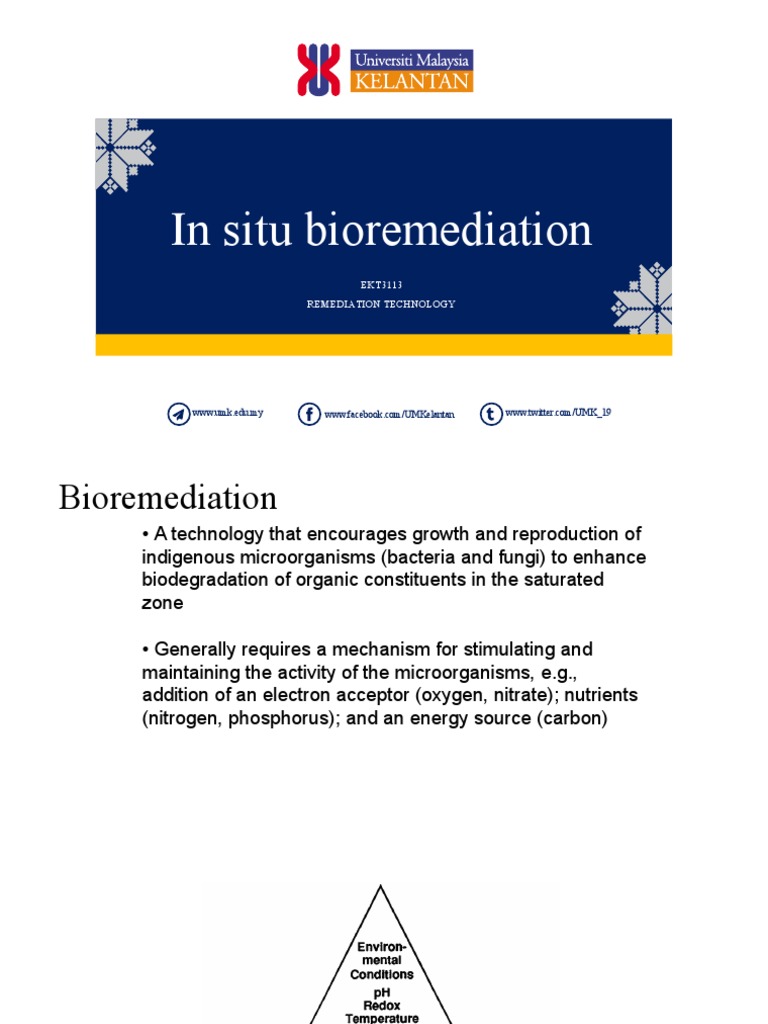 WK8 - in Situ Bioremediation - Slide Presentation | PDF | Environmental ...
