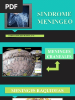 Signos Meningeos | PDF | Sistema musculoesquelético | Anatomía humana