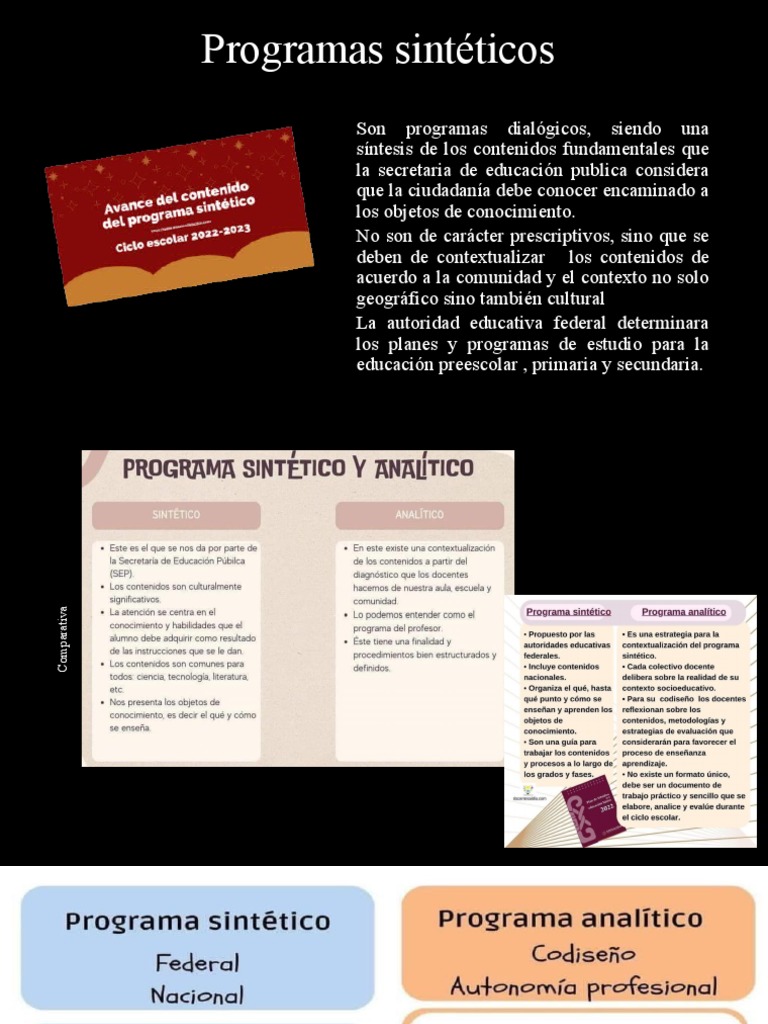 Programas Sintéticos | PDF