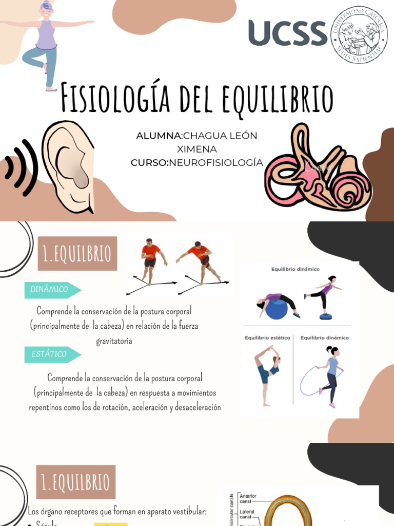 Fisiología del equilibrio | PDF | Nervio | Cerebelo