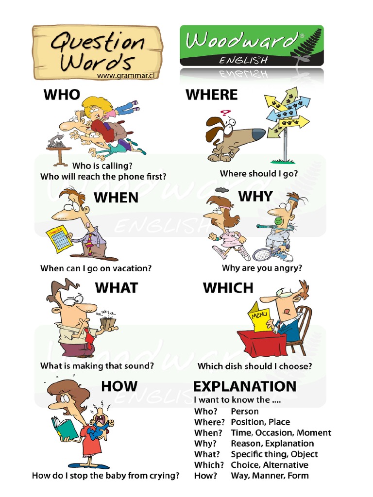 Question Words in English - Who When What Why Which Where How | PDF