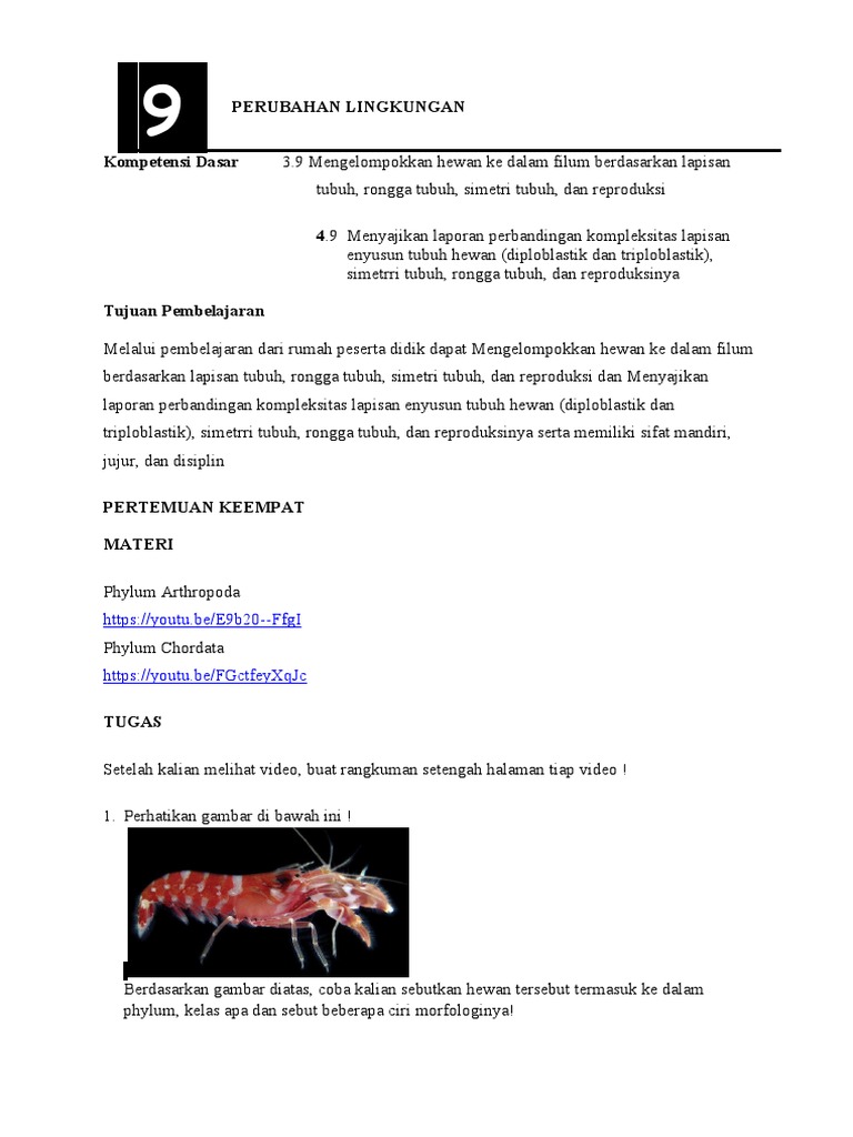 LKPD Animalia 4 | PDF | Kesehatan Holistik