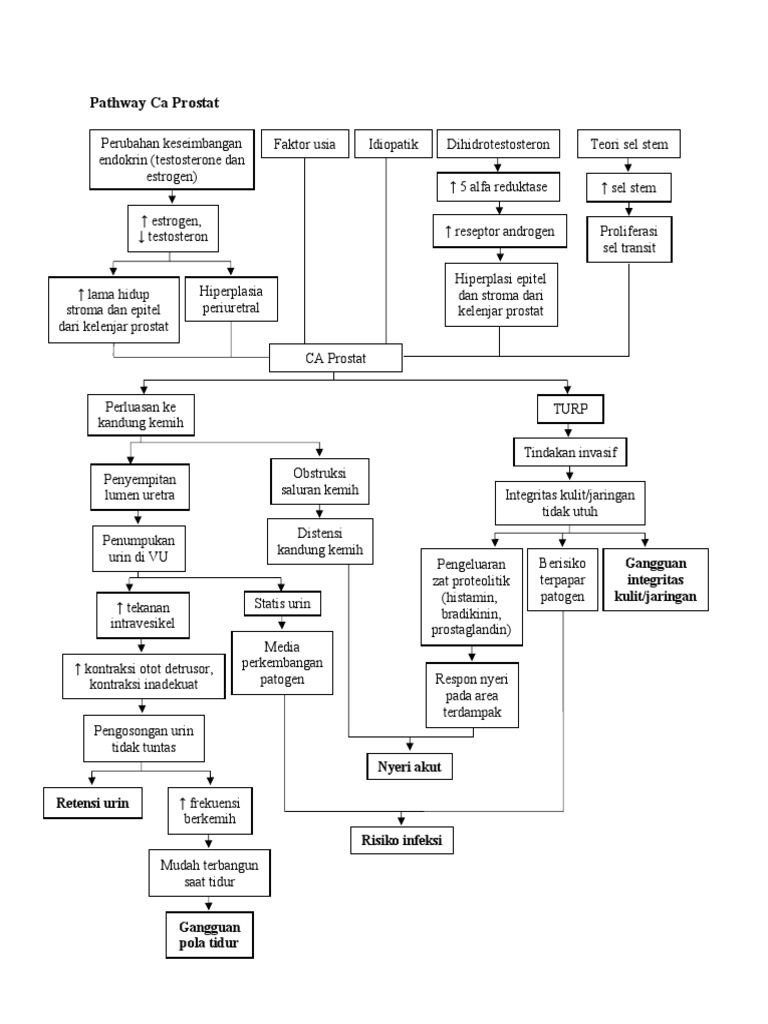 WOC CA Prostat | PDF