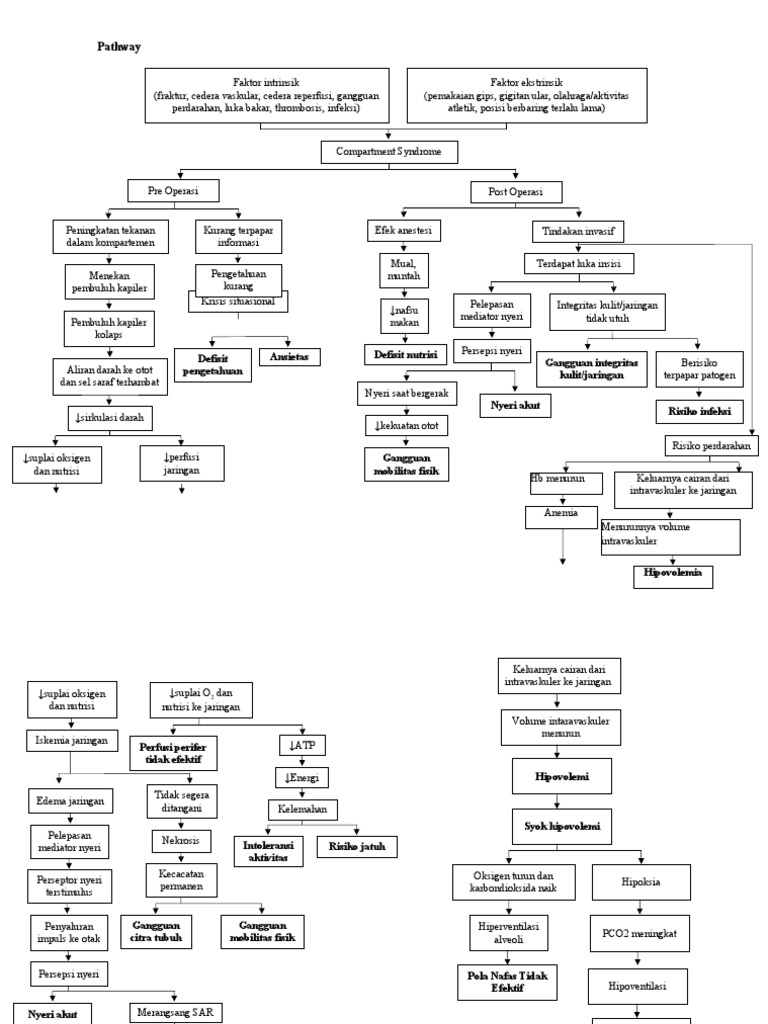 Pathway Compartment Syndrome | PDF