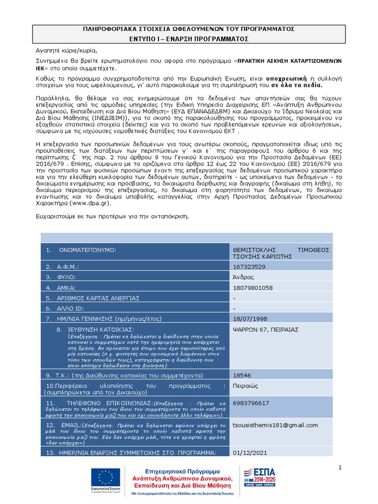 Απογραφικό Δελτίο ΘΕΜΗΣ | PDF