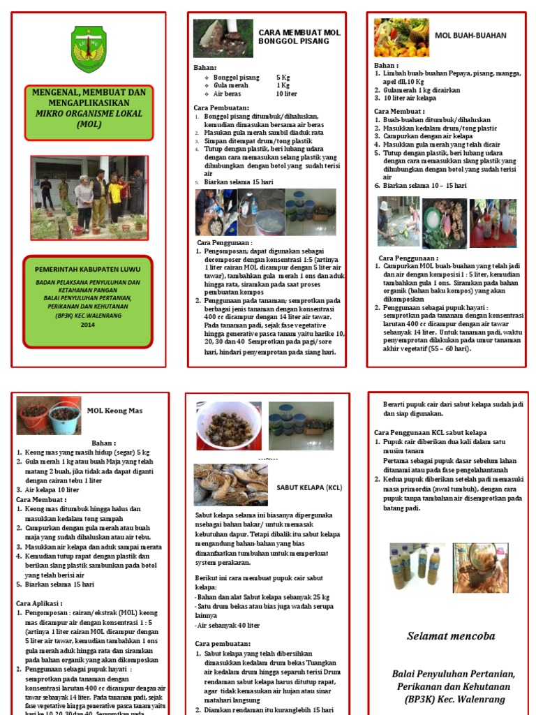 Cara Membuat MOL Bonggol Pisang OK | PDF