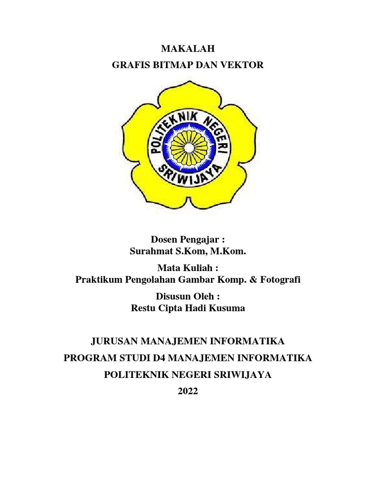 Perbandingan Grafis Bitmap dan Vektor | PDF | Seni