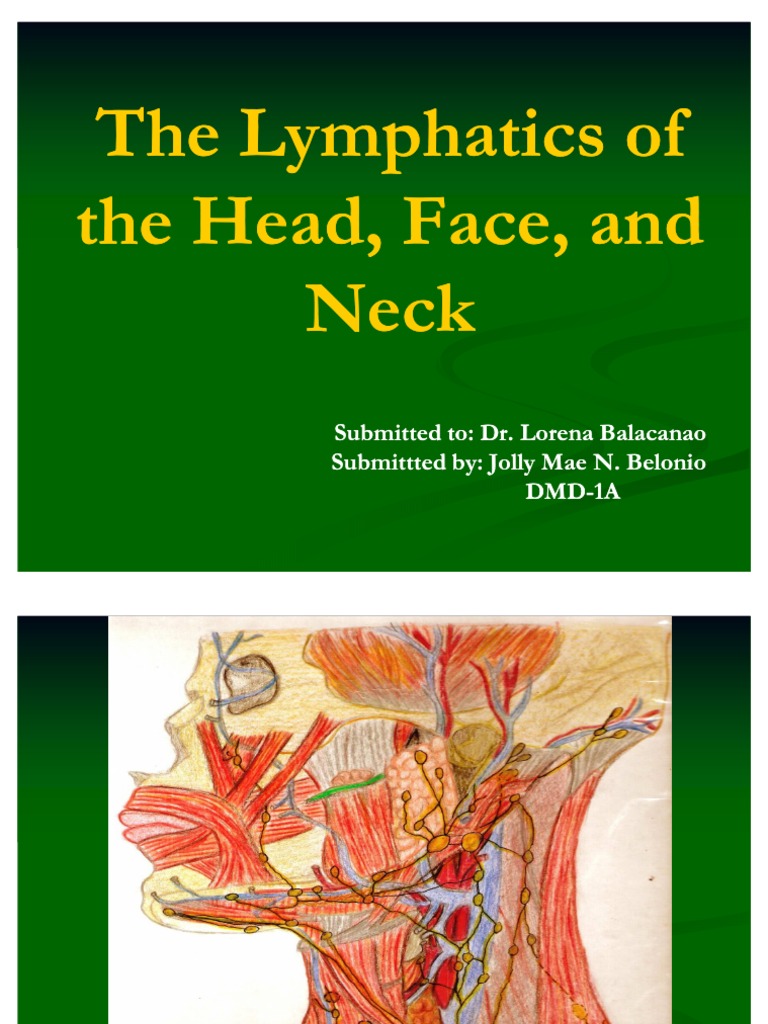 The Lymphatics of The Head, Face&Neck | PDF | Neck | Animal Anatomy