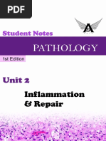 Systemic Pathology - Dr. Priyanka Sachdev | PDF | Coronary Artery ...