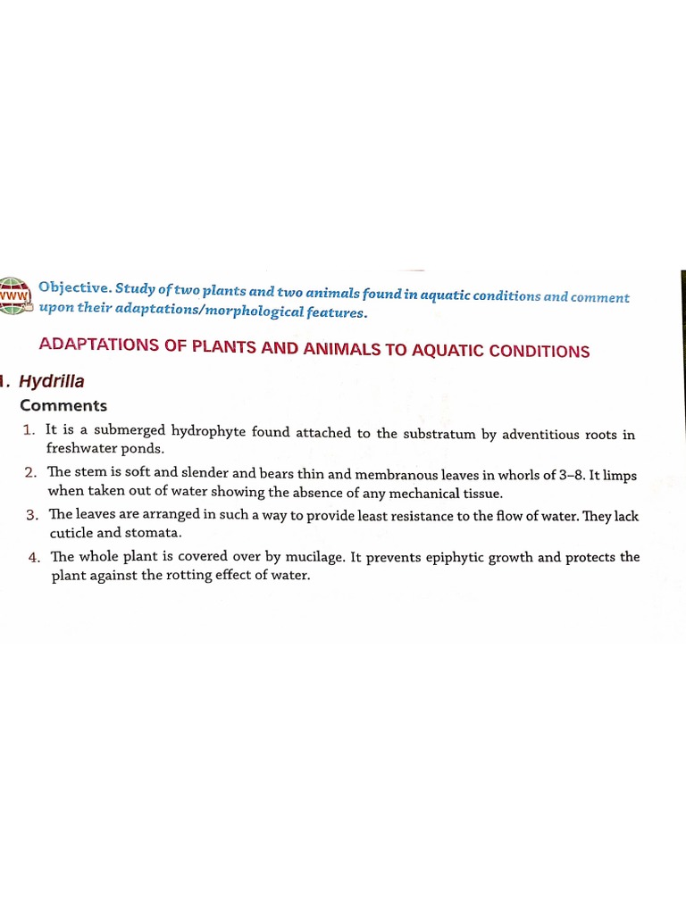Bio Practical 11. | PDF
