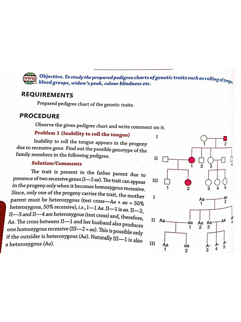 Bio Practical 7. | PDF