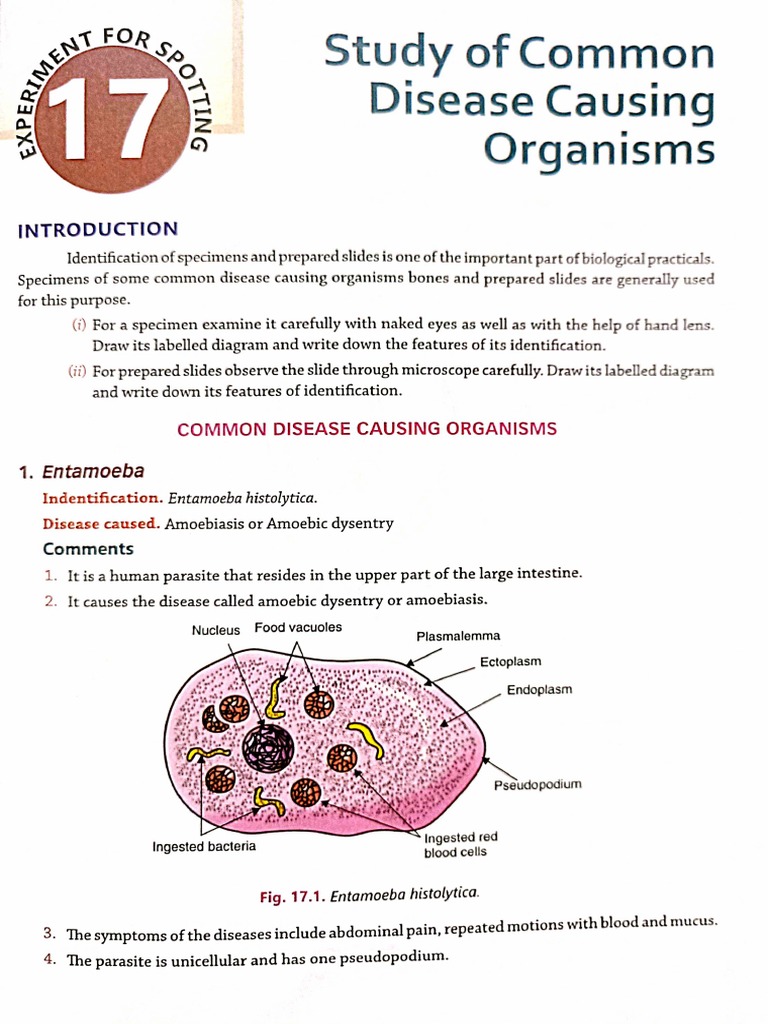 Bio Practical 9. | PDF