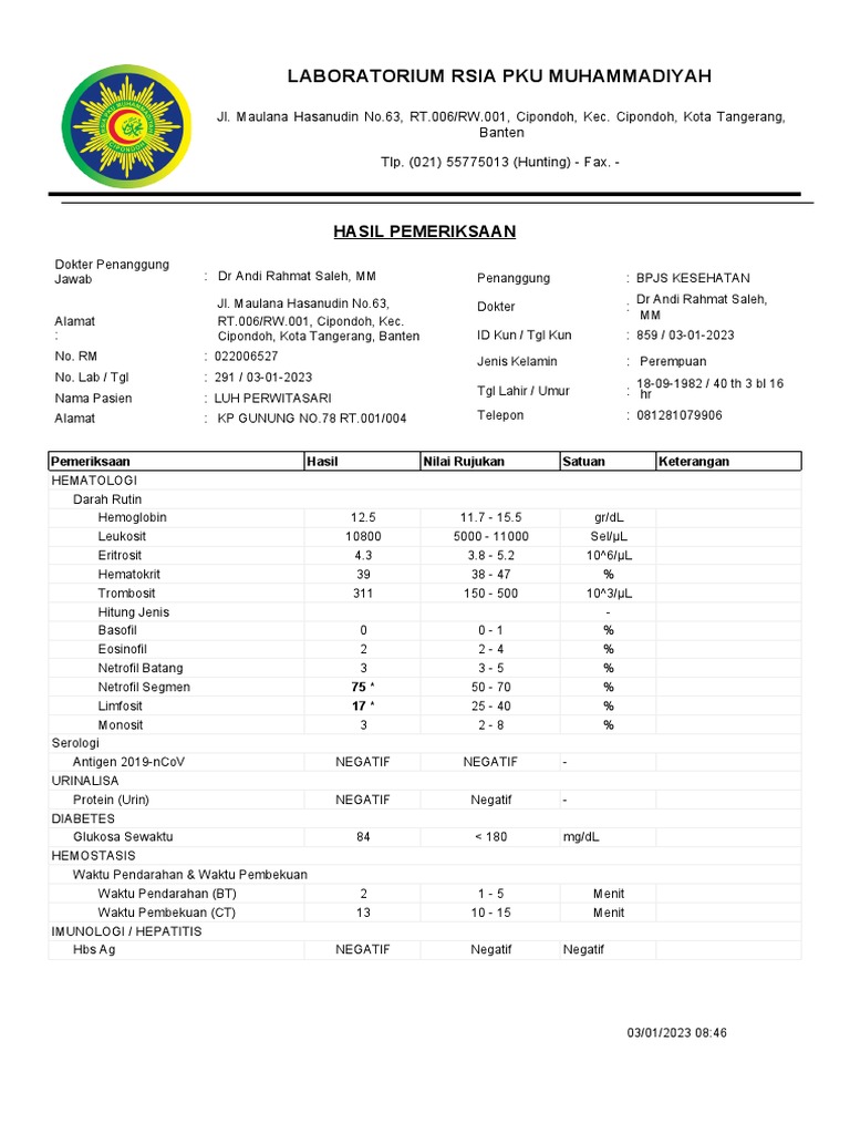Hasil Laboratorium Luh | PDF