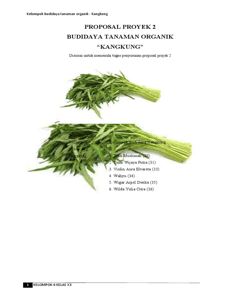 Proposal Kelompok 3 Budidaya Tanaman Organik | PDF | Griya & Taman