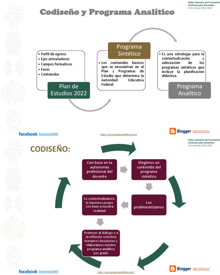 Codiseño y Programa Analítico | PDF