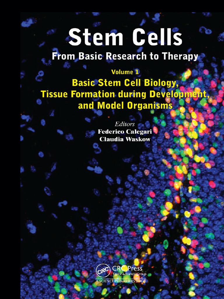 Buku Stem Cells From Basic Research To Therapy | PDF | Stem Cell | Haematopoiesis