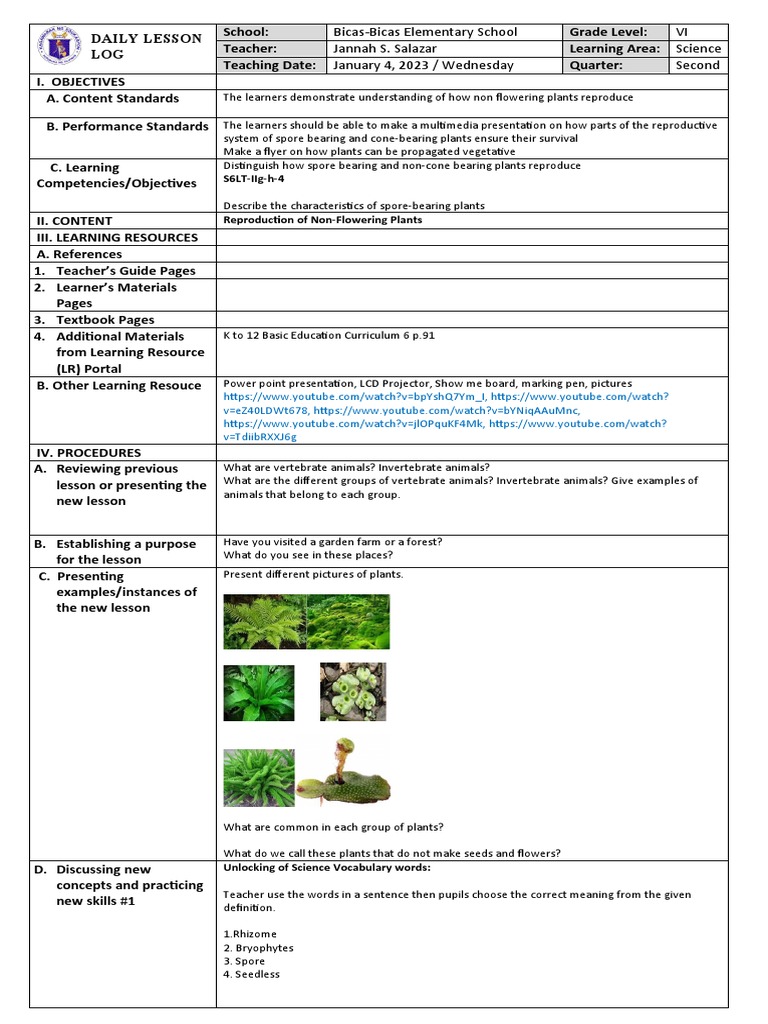 Lesson Plan in Science 6 Q2 WK7 | Download Free PDF | Spore | Fern