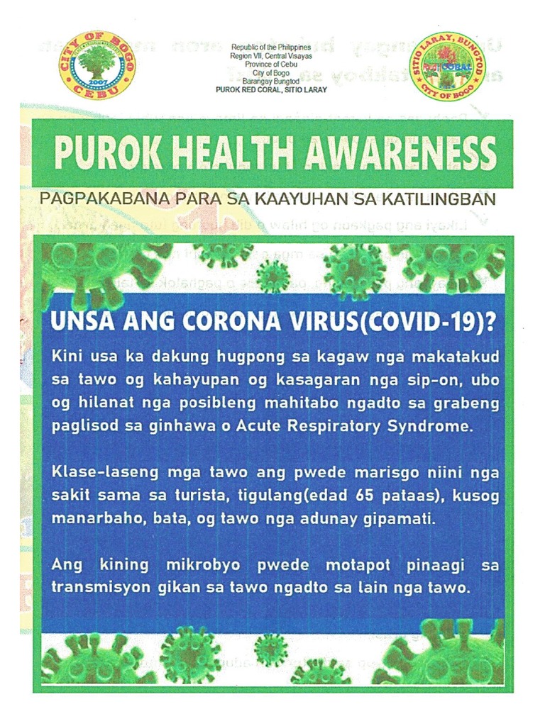 Purok Pamphlet | PDF