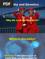 PHILVOLCS Earthquake Intensity Scale Written | PDF | Earthquakes ...