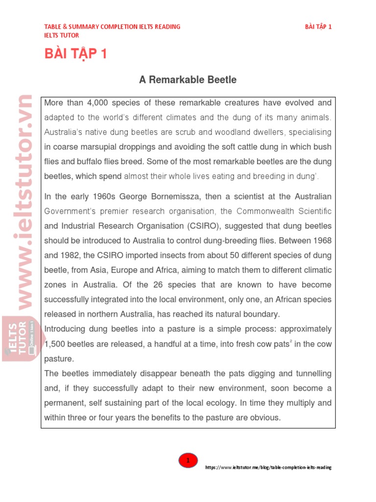 IELTS Table Completion Strategies | PDF | Wright Brothers