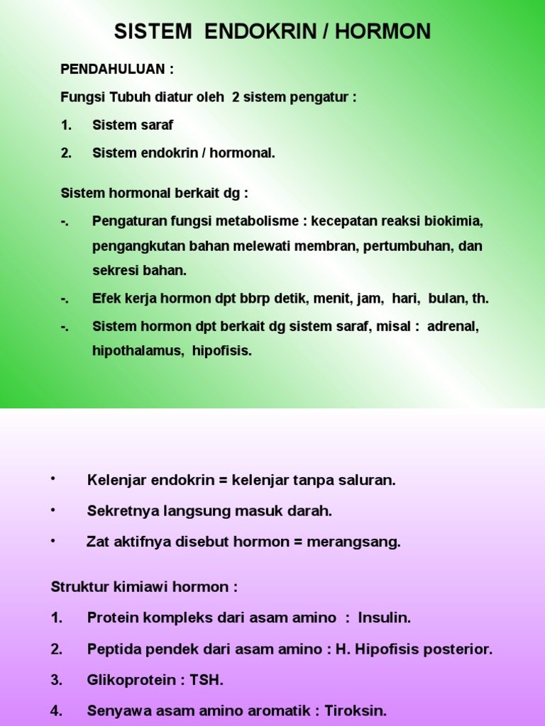 Panduan Lengkap Sistem Endokrin | PDF