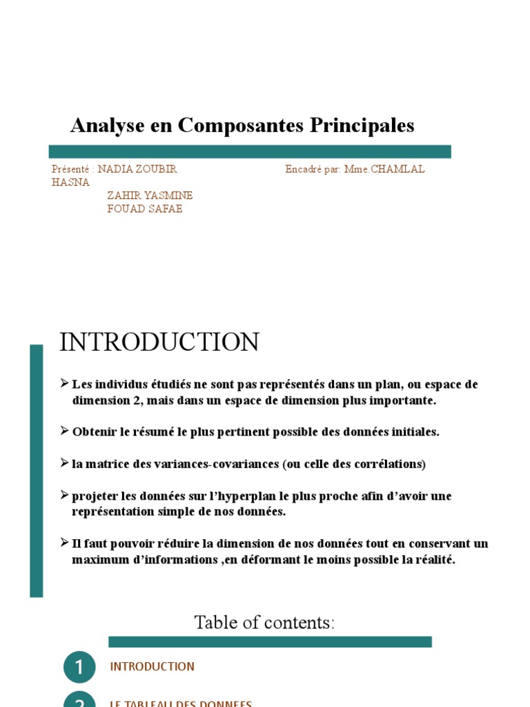 ACP Slides Nadia Zoubir, Yasmine Zahir Et Safae Fouad | PDF | Analyse ...