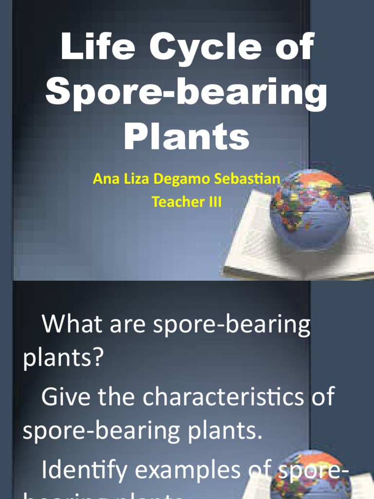 Life Cycle of Spore-Bearing Plants | Download Free PDF | Spore | Organisms