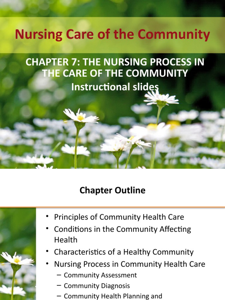 Nursing Care of The Community CHP 7 | PDF | Nursing | Community