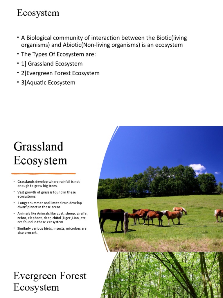 Ecosystem Presentation For Std 7 Pdf