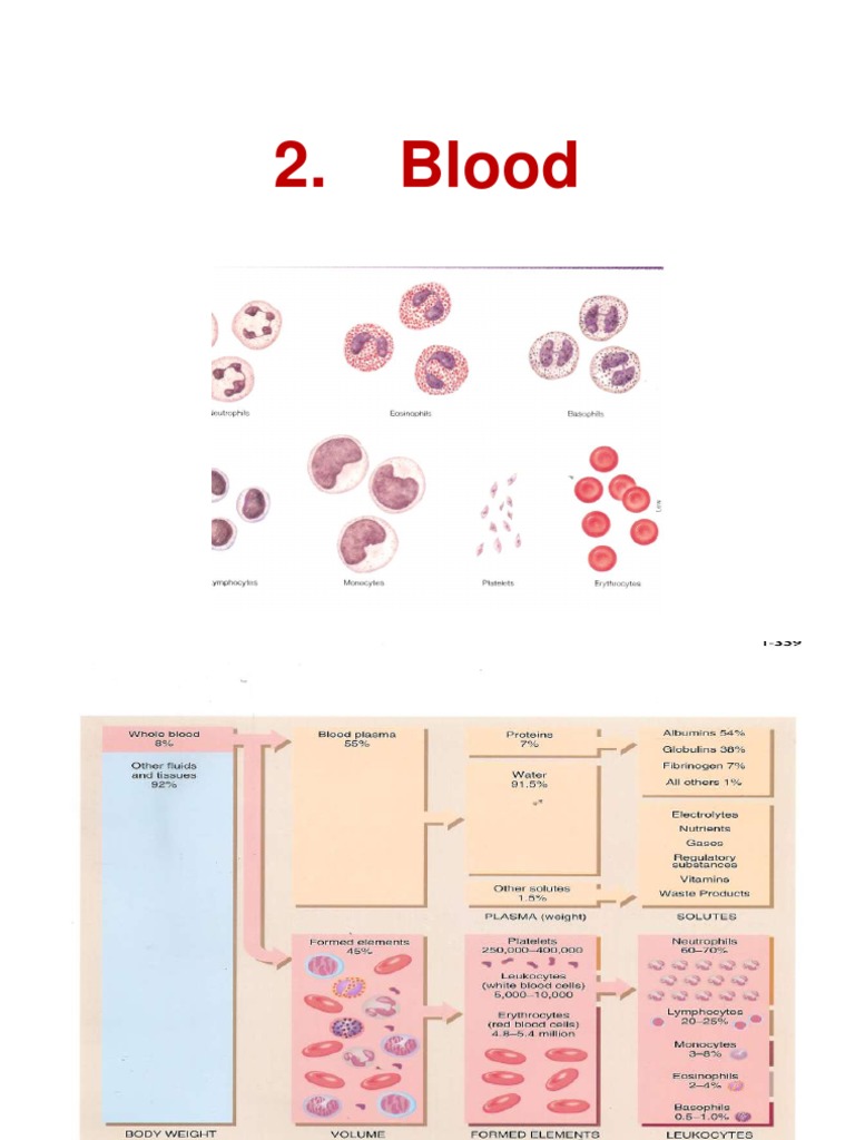 Blood - Physiology Short Summary | PDF | Platelet | Immune System