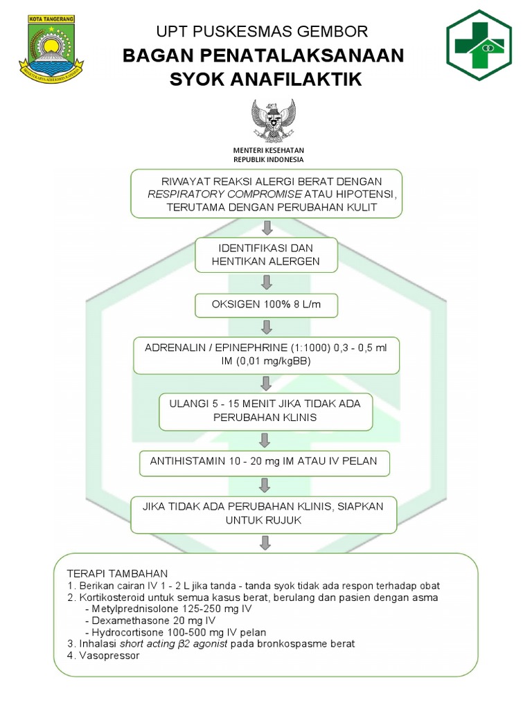 Syok Anafilaktik | PDF