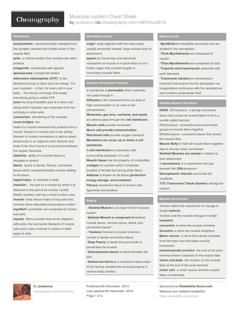 Muscular System Cheat Sheet Guide | PDF | Skeletal Muscle | Muscle ...